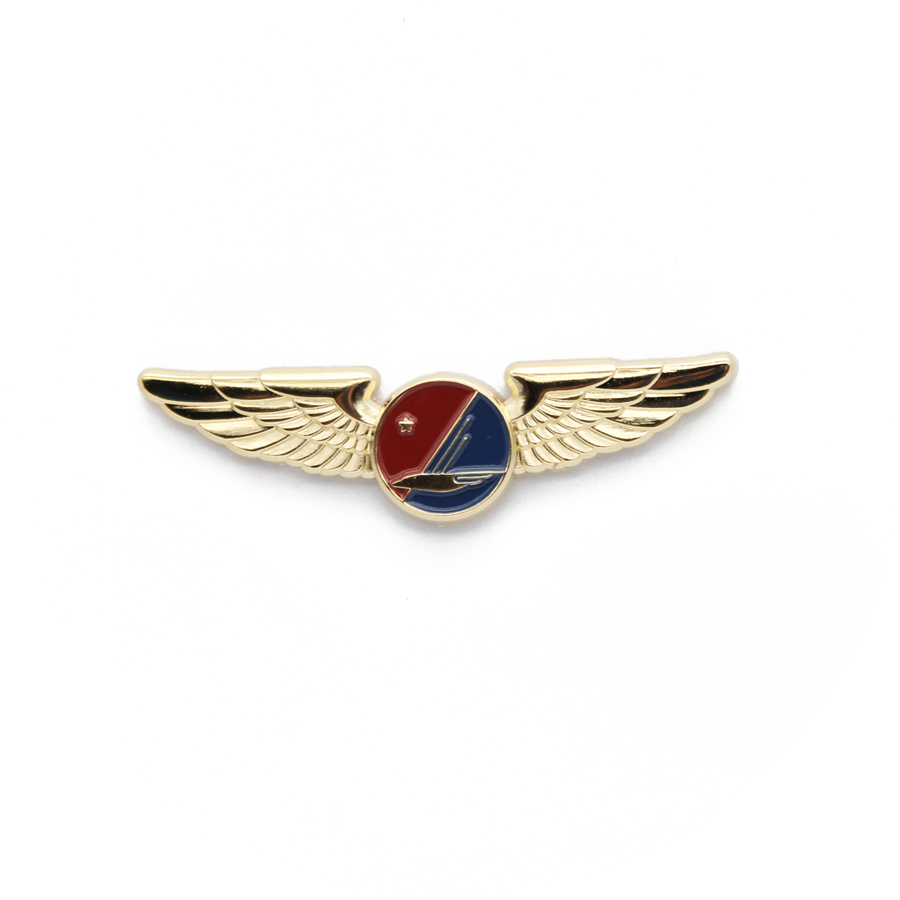 flying wings pin