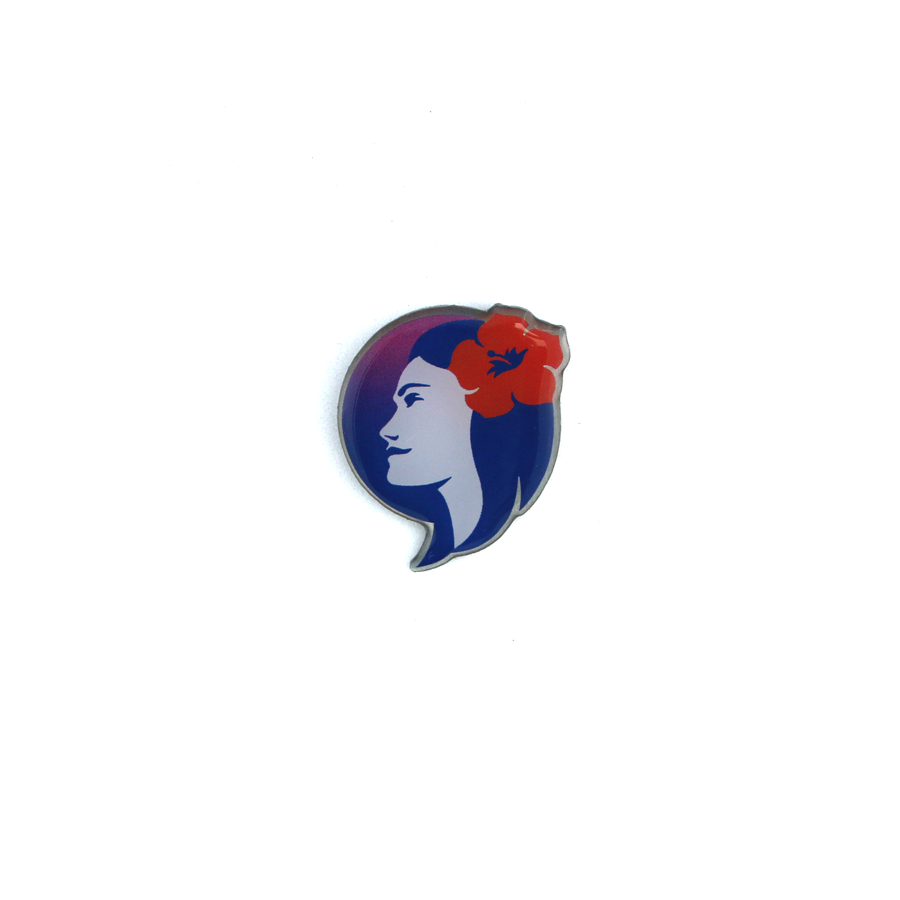 Pin Hawaii Island Logo Hawaii Islands Map Images – Browse 13,259