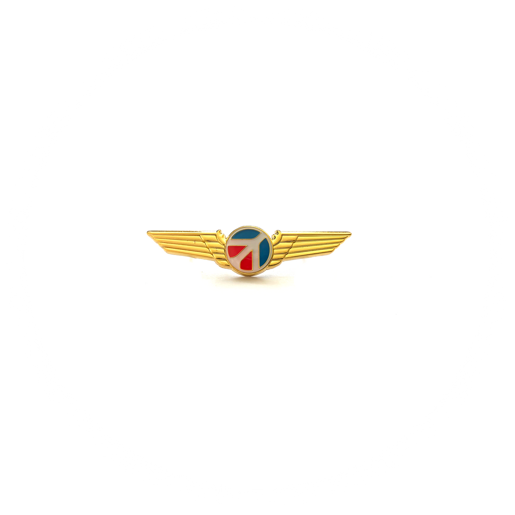 Wing Pin Cessna Aircraft (color logo) – Gone Flying Store