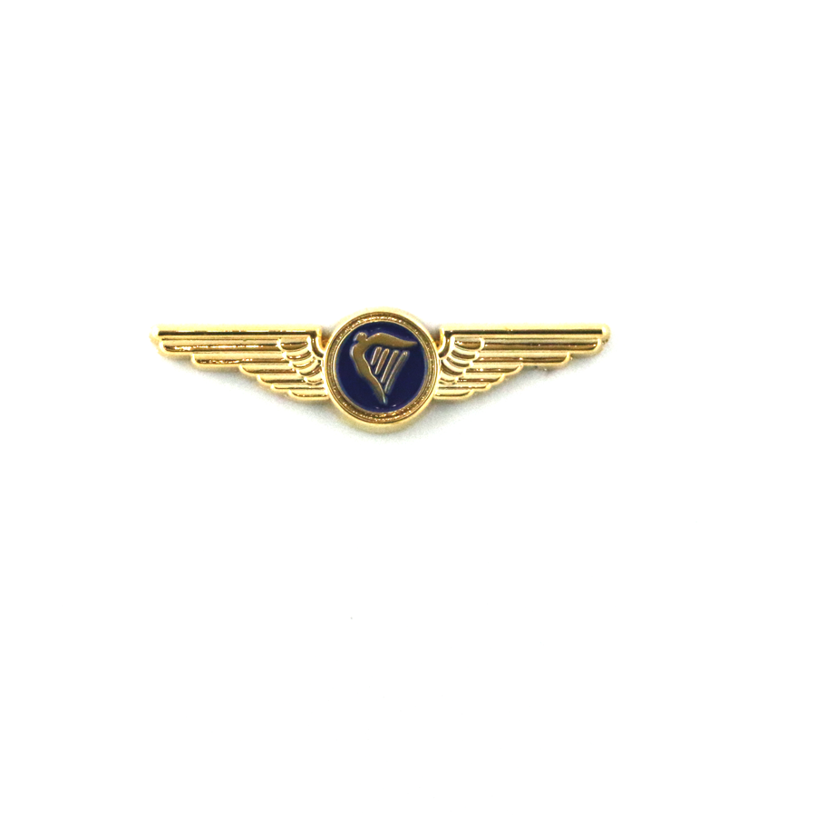 Flying Wings Pin